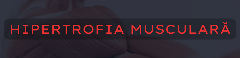 Hipertrofia musculară - Ironbeat